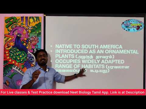 LANTANA CAMARA | TAMIL | ALIEN INVASIVE SPECIES | ENVIRONMENTAL ISSUES | TRB | STD 12 | TNPSC