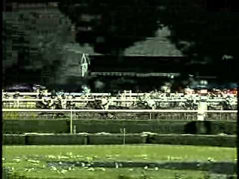 Colonel John Headed to Korea | Horse Racing in Korea