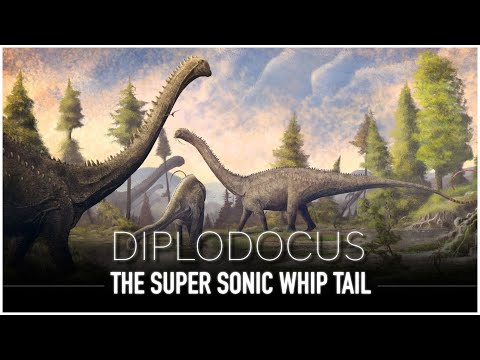 Diplodocus: The Dinosaur with a Super Sonic Whip for a Tail | Dinosaur Documentary
