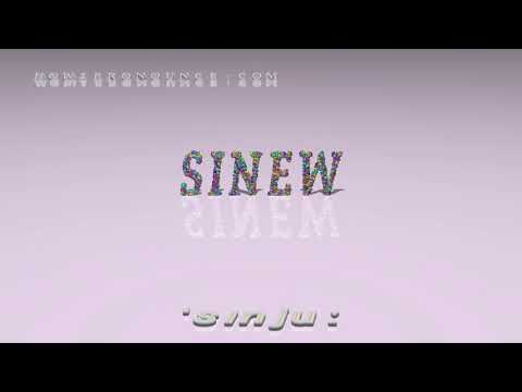 sinew - pronunciation + Examples in sentences and phrases