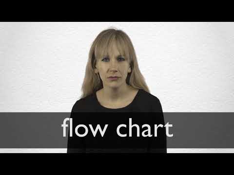 FLOW CHART definition and meaning | Collins English Dictionary