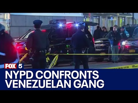 NYPD confronting Venezuelan gang Tren de Aragua in NYC