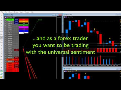 The currency array and universal sentiment explained – Quantum Trading