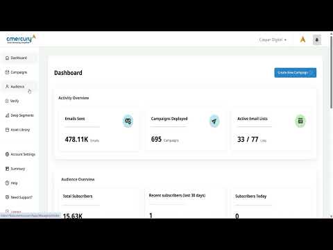 Get Insights Fast: Audience Overview in cmercury Explained