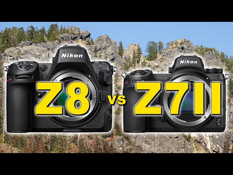 Nikon Z8 vs Z7 II (image quality comparison) (1695)