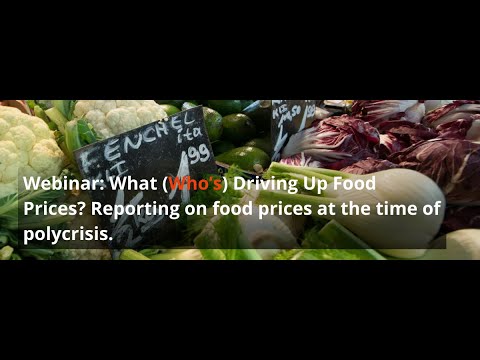 WHAT (WHO) IS DRIVING UP FOOD PRICES? | IPES-Food & Lighthouse Reports webinar