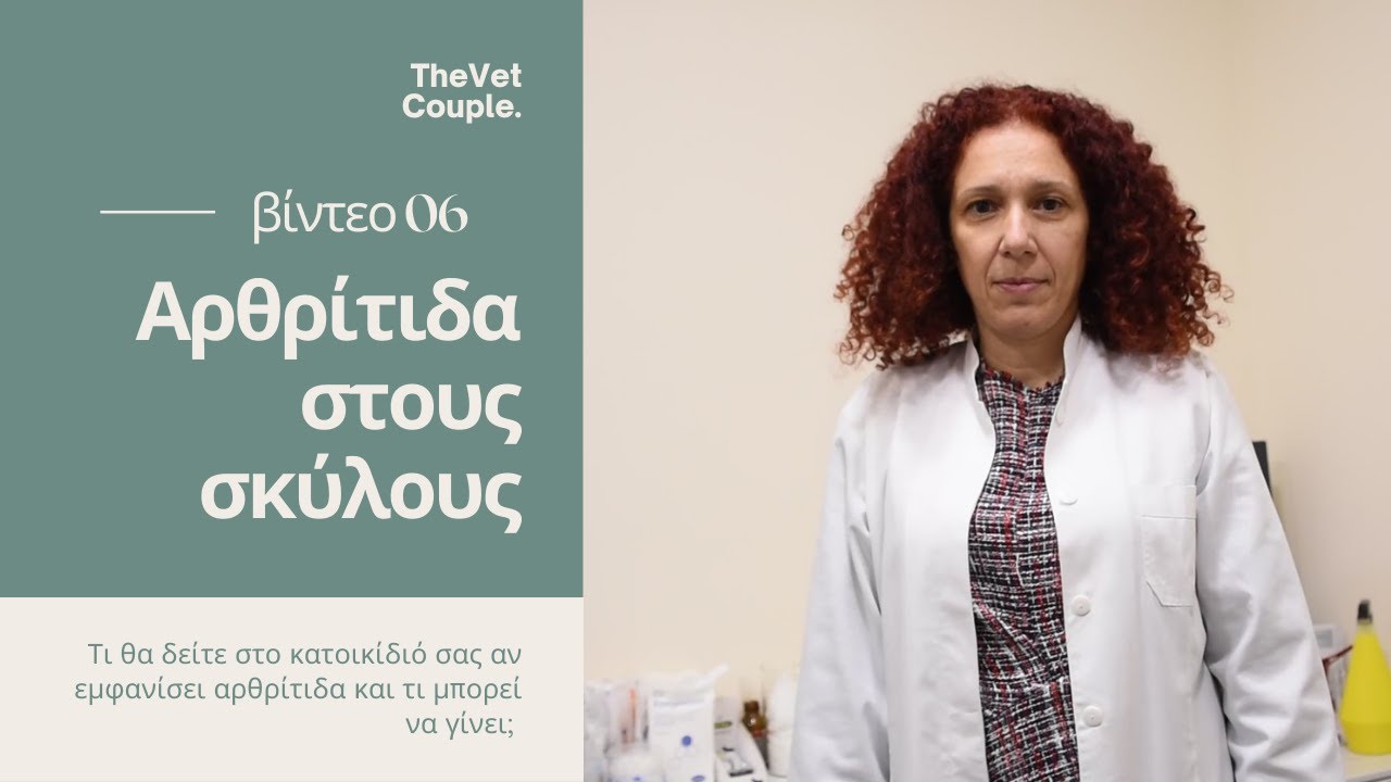 Αρθρίτιδα και πόνος στις αρθρώσεις στους σκύλους