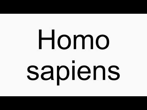 How to pronounce Homo sapiens