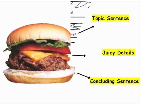 Hamburger Paragraph Writing | jason c hensley
