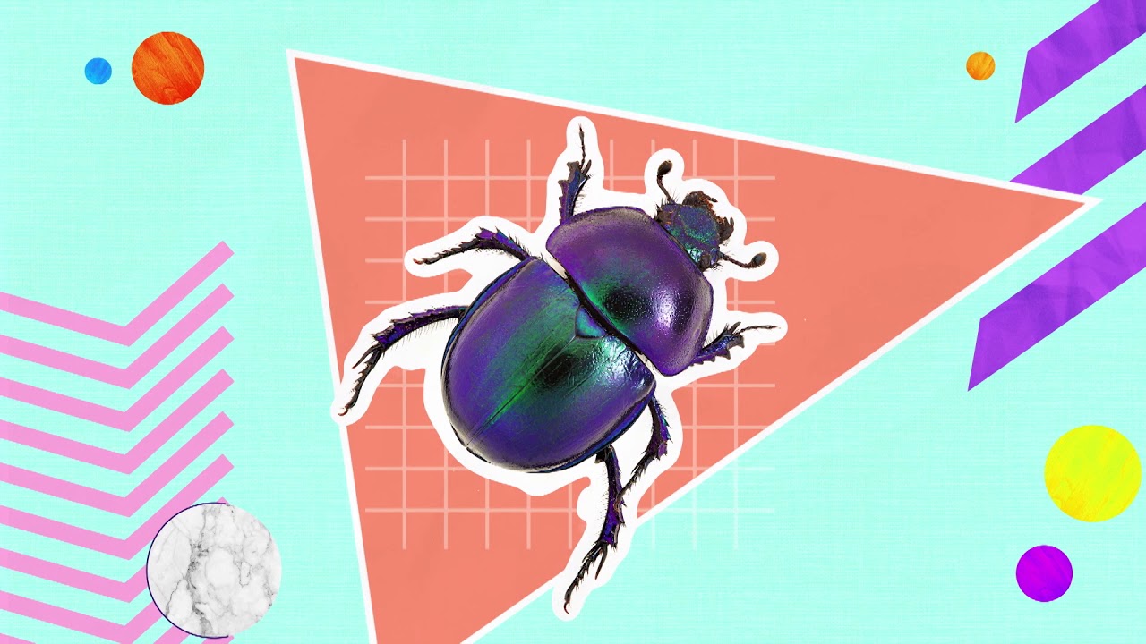 Fun Facts on Coding: What does DEBUGGING mean?