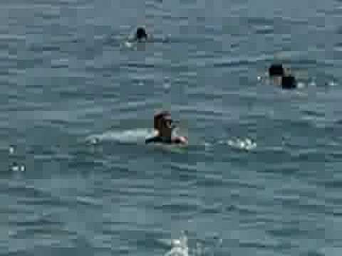 baldy man jumping off rocks