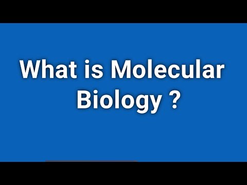 What is Molecular Biology ? | Define Molecular Biology ? | Definition of Molecular Biology