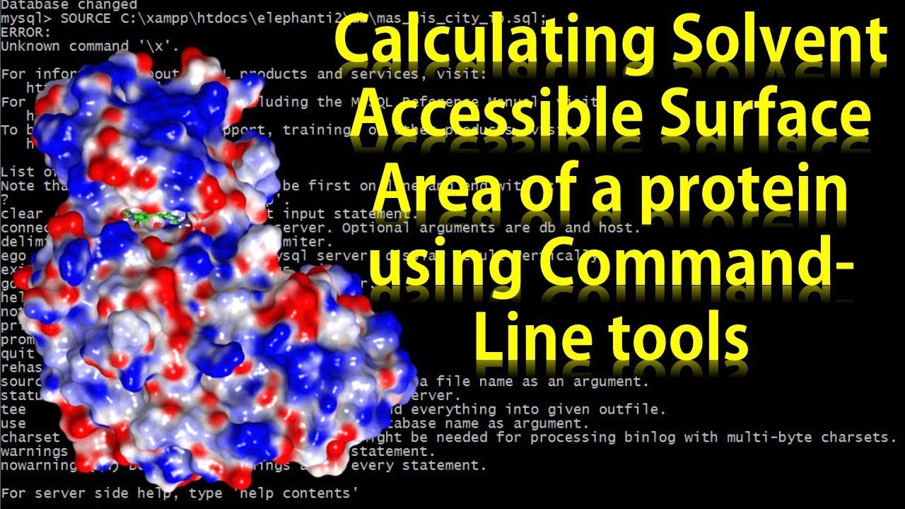 Calculating Solvent Accessible Surface Area using Command Line tools
