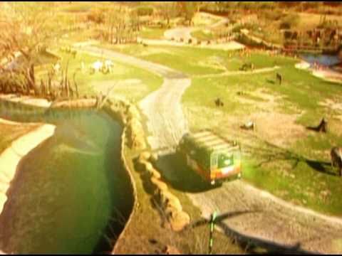 Built for Speed: Cheetah Hunt’s Trains Arrive – Coaster Critic