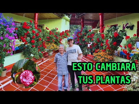Una casa sin PLANTAS es como una casa sin MUJERES, te va ENCANTAR este JARDÍN y sus CONSEJOS |AP