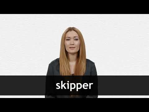 SKIPPER definition and meaning | Collins English Dictionary