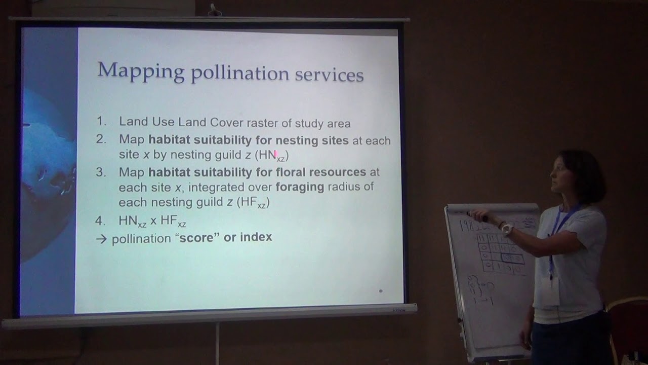 BITC2 - ESS/EBV Course - Pollination - 1