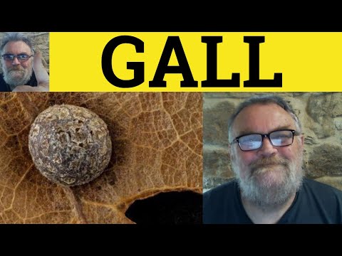🔵 Gall Meaning - Galling Definition - Have The Gall To Do Examples - British English Pronunciation