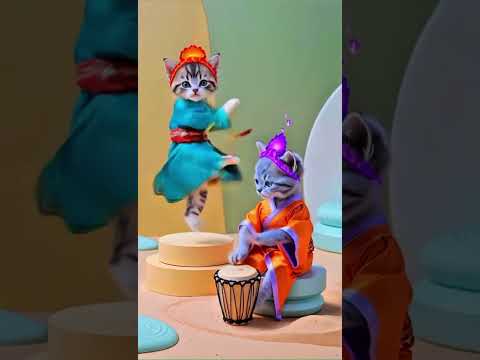 🤣🤣🤣🐈Cat chinese dance #funny #viralvideo #catdancing
