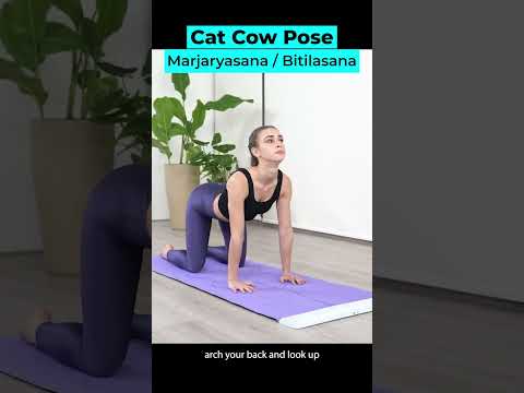 Cat Cow Pose | YogiFi