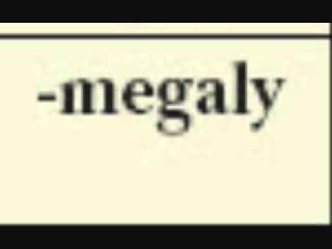 Medical Terminology; chapter 2 book part 2