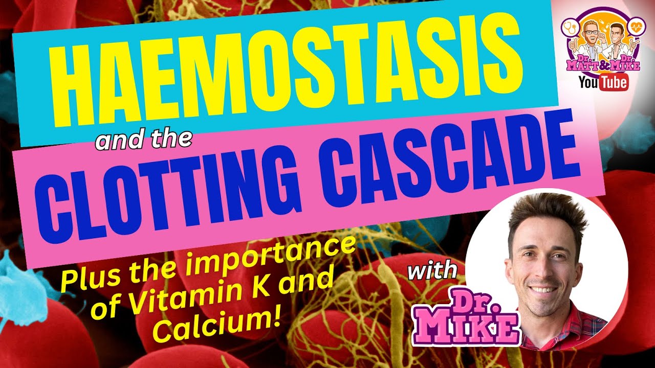 Understanding Hemostasis and the Clotting Cascade: The Role of Vitamin ...