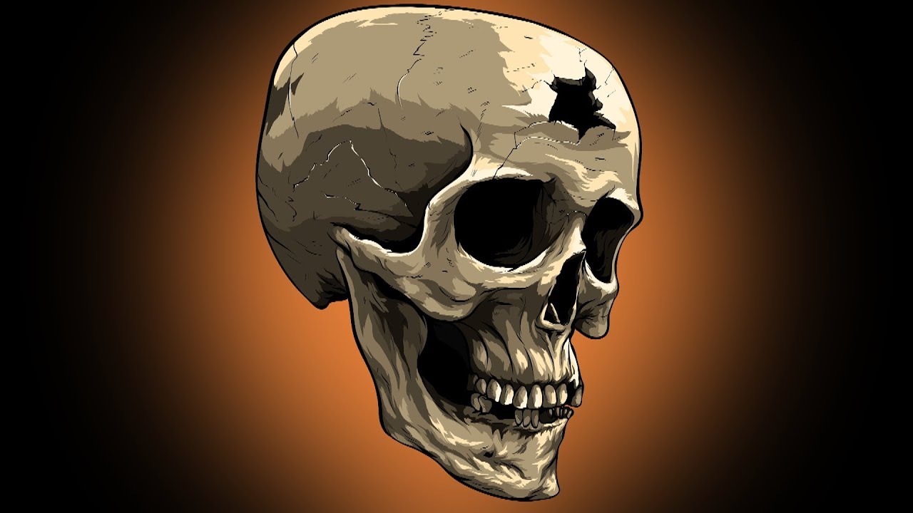 SKULL Speedart Part 1 / Adobe Illustrator