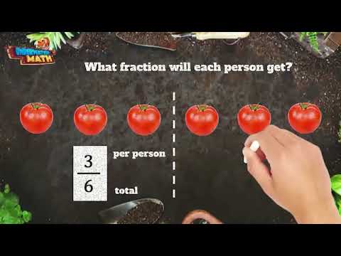 Fractions in a Set - 3rd Grade