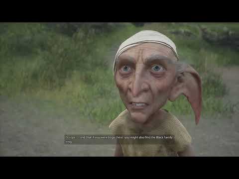 Hogwarts Legacy - Scrope's Last Hope: Meet Scrop at The Water's Edge (Serves Black Family) Your Ear?