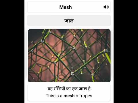 Mesh meaning in hindi | word meaning | pronunciation | sentence making