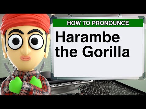 How to Pronounce Harambe the Gorilla