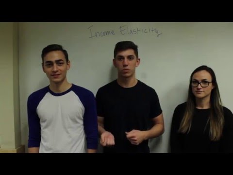 Elasticity of Demand and Income Elasticity of Demand Examples