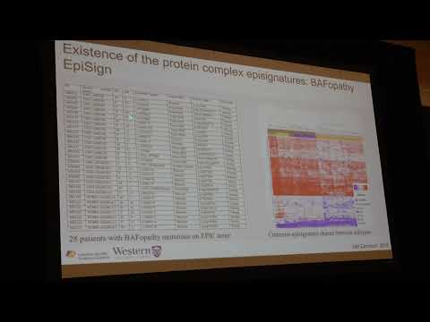 Bekim Sadikovic, PhD - DNA Methylation Episignatures (2023 SERN/SERGG Annual Meeting)