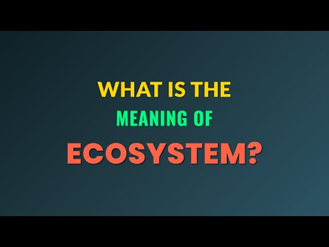 What is the meaning of Ecosystem?