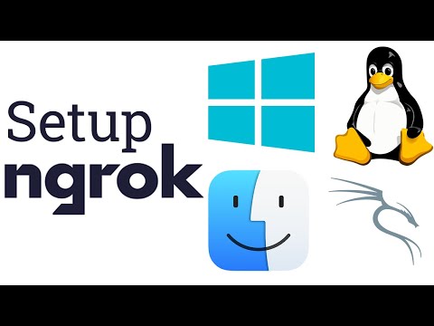 How to Setup Ngrok in ANY System