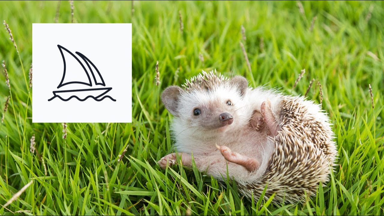 AI generated Hedgehogs | Midjorney