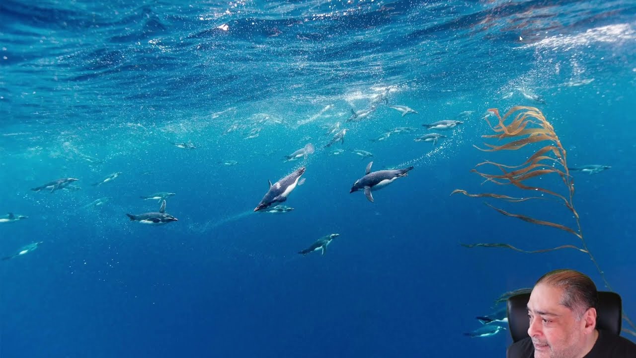 SmartBear TestComplete working with Git repositories