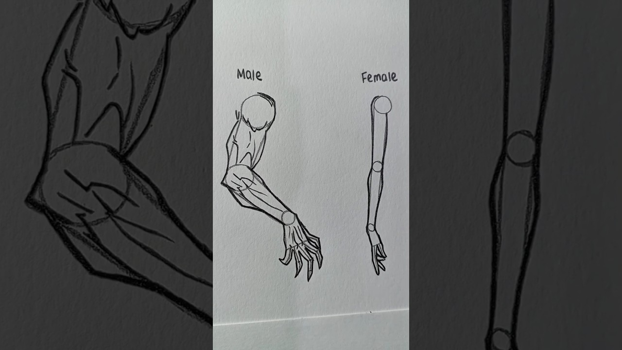 how to draw female and male arm #tutorial #drawing #sketch #art
