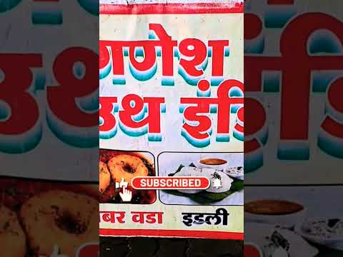 Nagpur's Viral Food Truck 🚚🍛 | South Indian Delights & Heartwarming Event! 🎉 #viralvideo part-8
