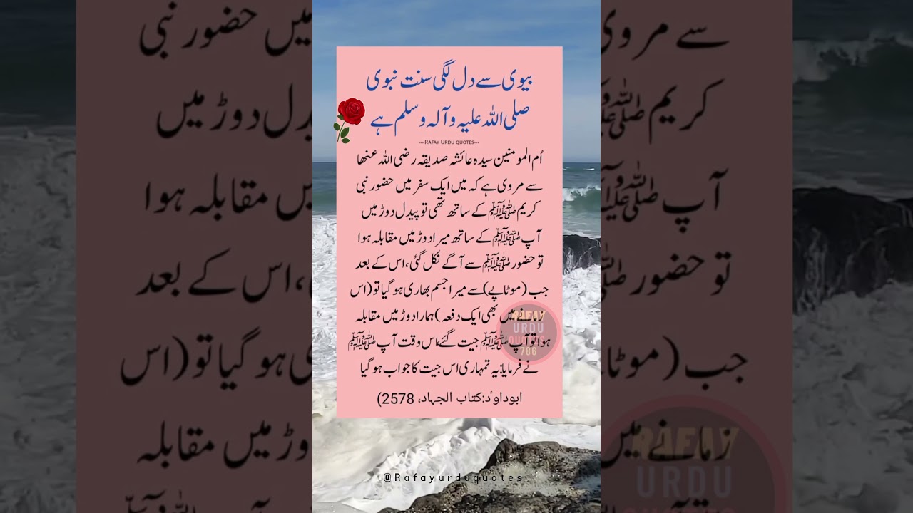 Husband Wife Relationship Quotes | Hadees Quotes Urdu | Islamic Quotes #shorts #husbandwifequotes