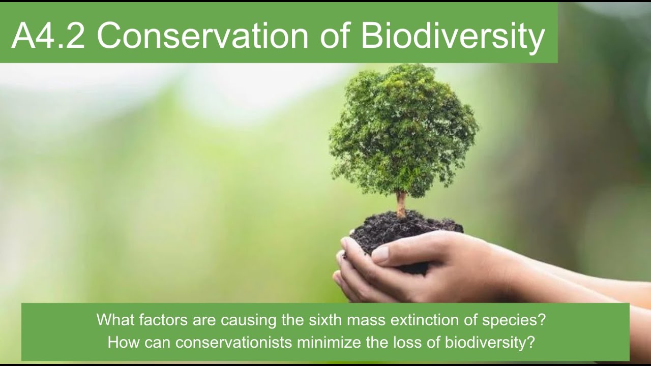 A4.2 Conservation of Biodiversity -- IB Biology New Curriculum