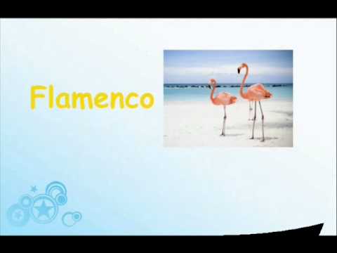 Spanish Vocabulary 7- Animals: Birds (Aves)
