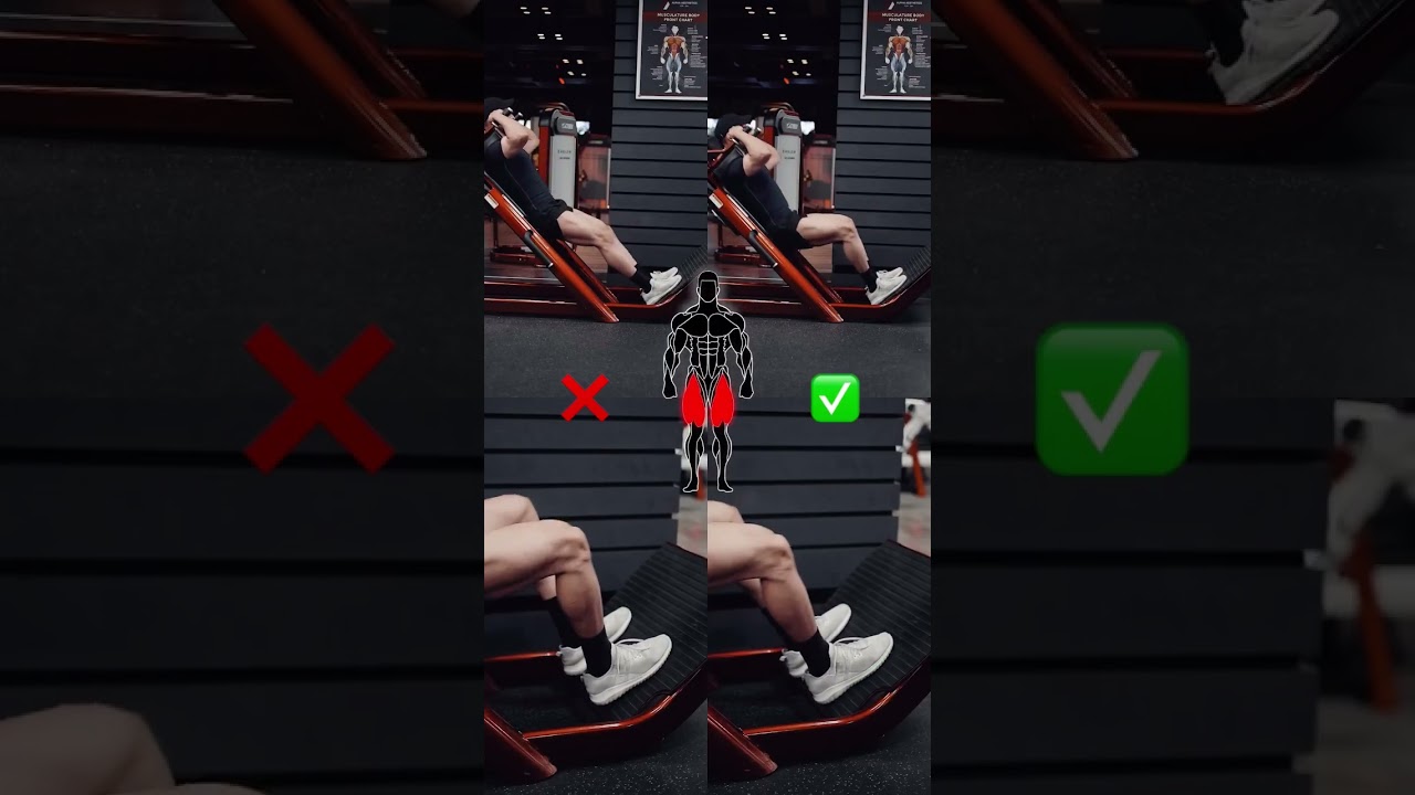 Sentadilla Hack (Técnica Correcta) 🔥✅ #fitness #gym  #shorts