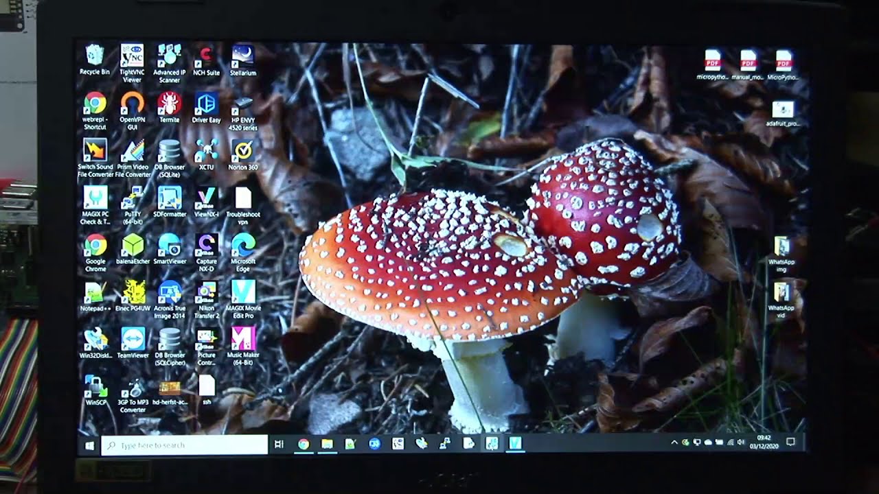 ESP8266 MicroPython windows10