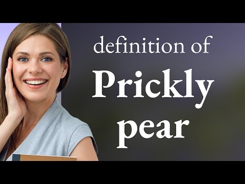 Prickly pear • PRICKLY PEAR meaning