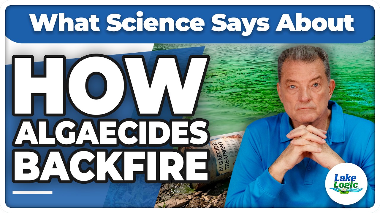 Algaecides Are Making Toxic Blooms More Dangerous