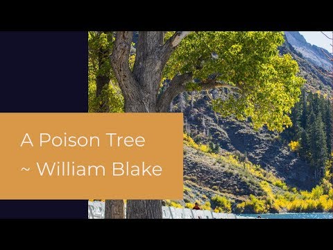 Reading (A Poison Tree) a poem by Blake