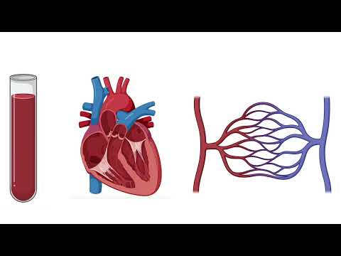 VO2 max explained