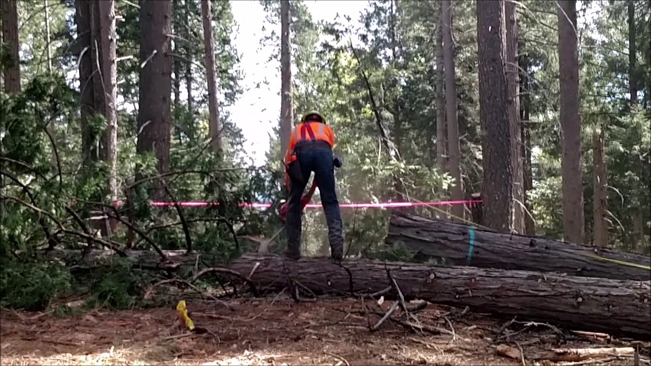 Wood ED Pathways Experience May 10, 2018