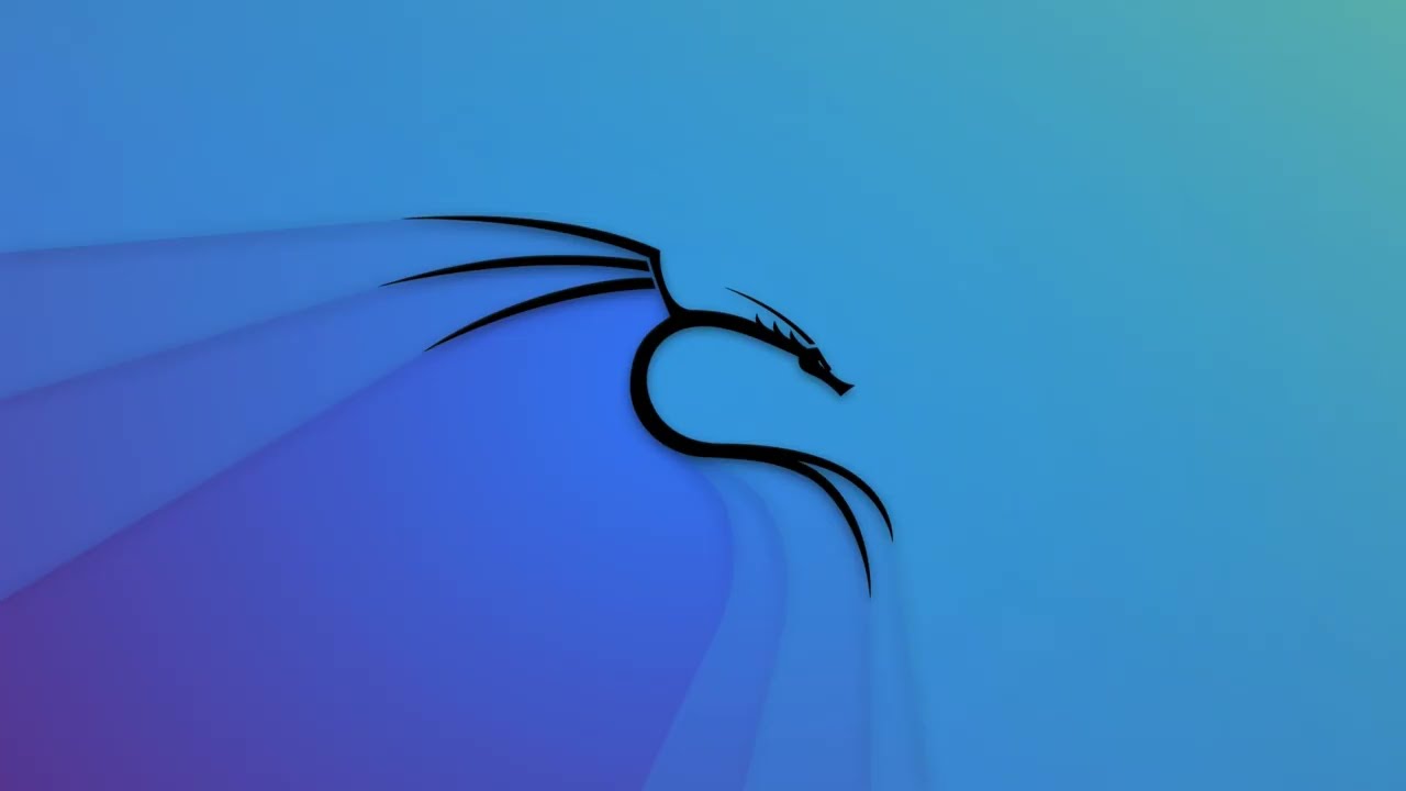 Blind SQL injection with custom script [ETHICALHACKING] [SQL] [PYTHON]